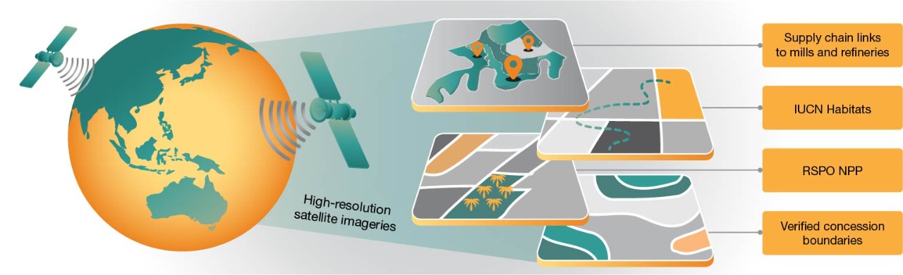 Global Monitoring - Transform By Action